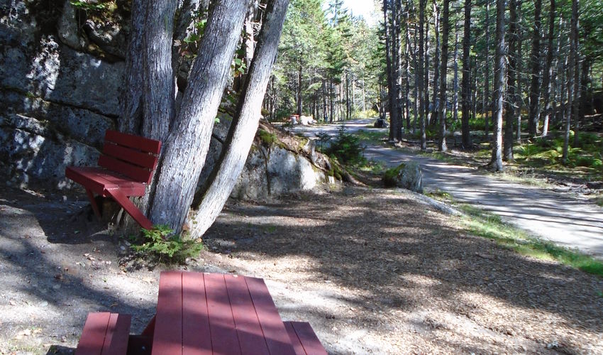 Unique Campgrounds Across the Country | Go RVing