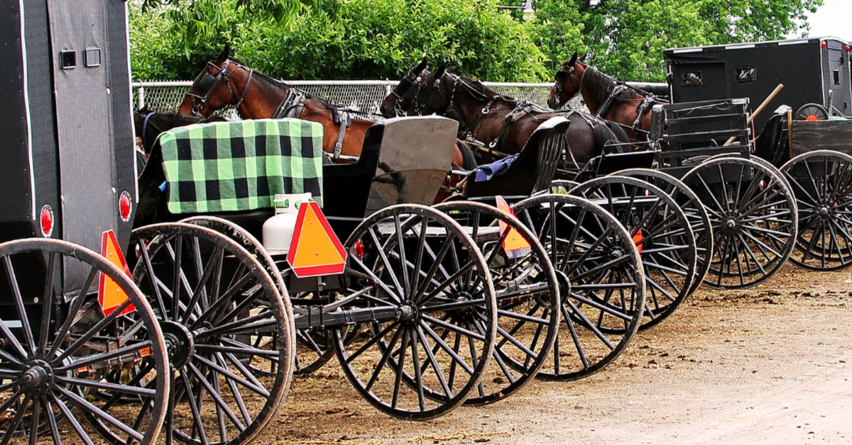 Check Out These Amish Country Byways | Go RVing