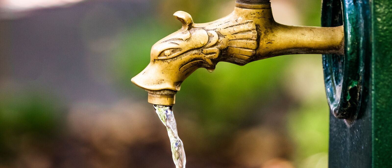 Water 101: How to Hook Up Water to Your RV Like a Pro | Go RVing